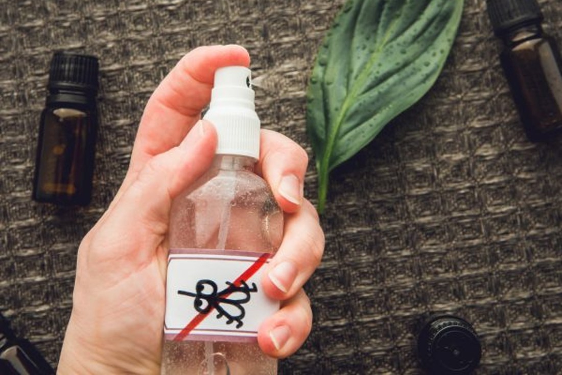 Is Essential Oil Bug Repellent Safe? | The Camping List